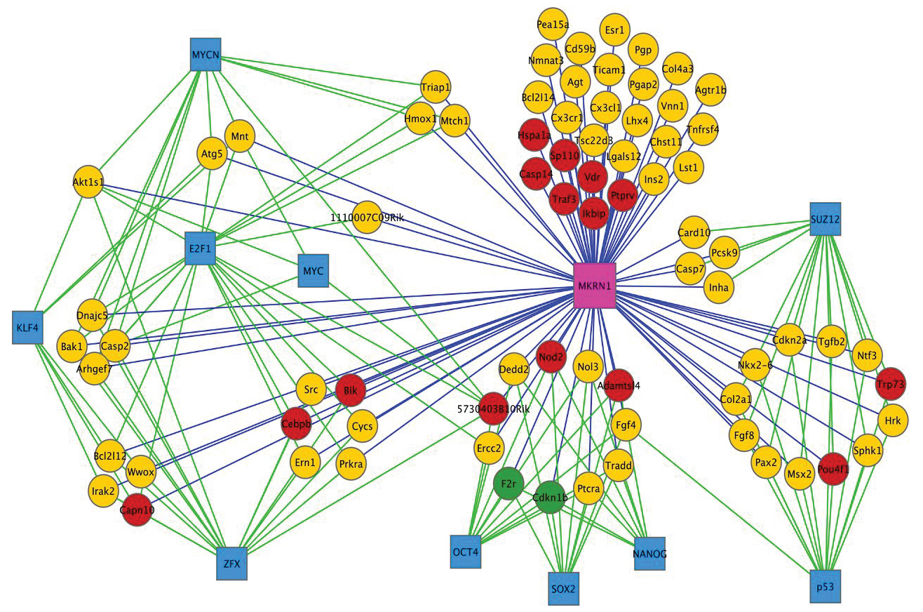 KGraph Nexus - Knowledge Graph Visualization